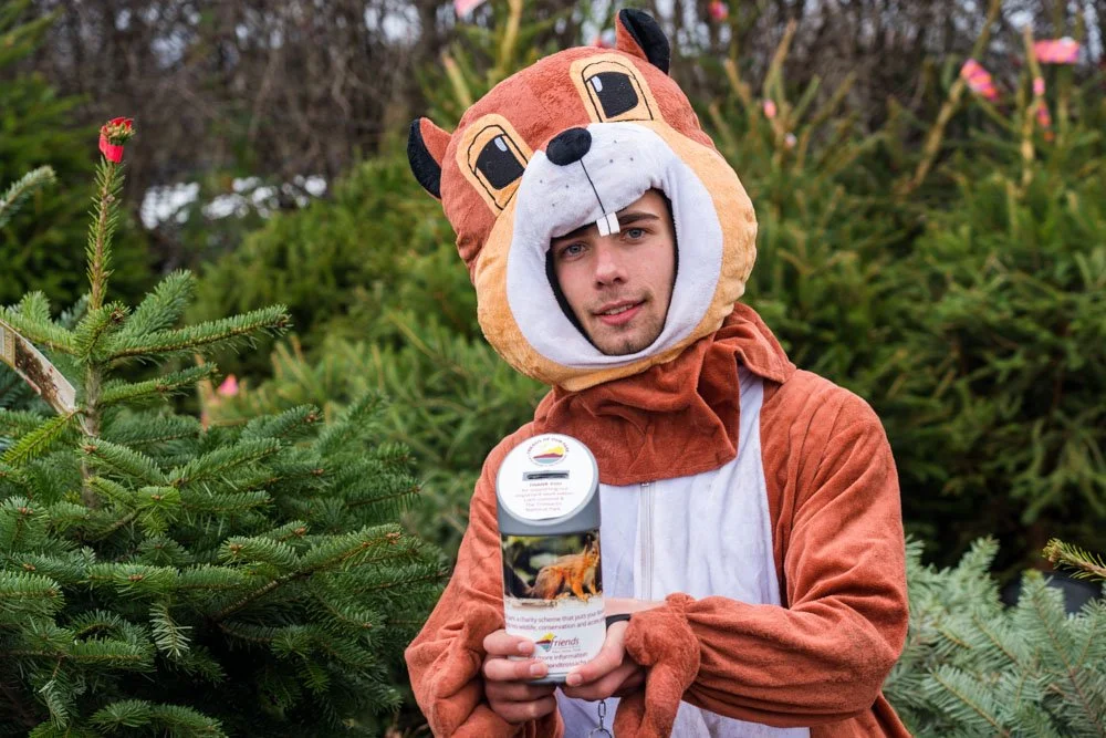 Cut your own Christmas Tree — Duff Christmas Tree Farm