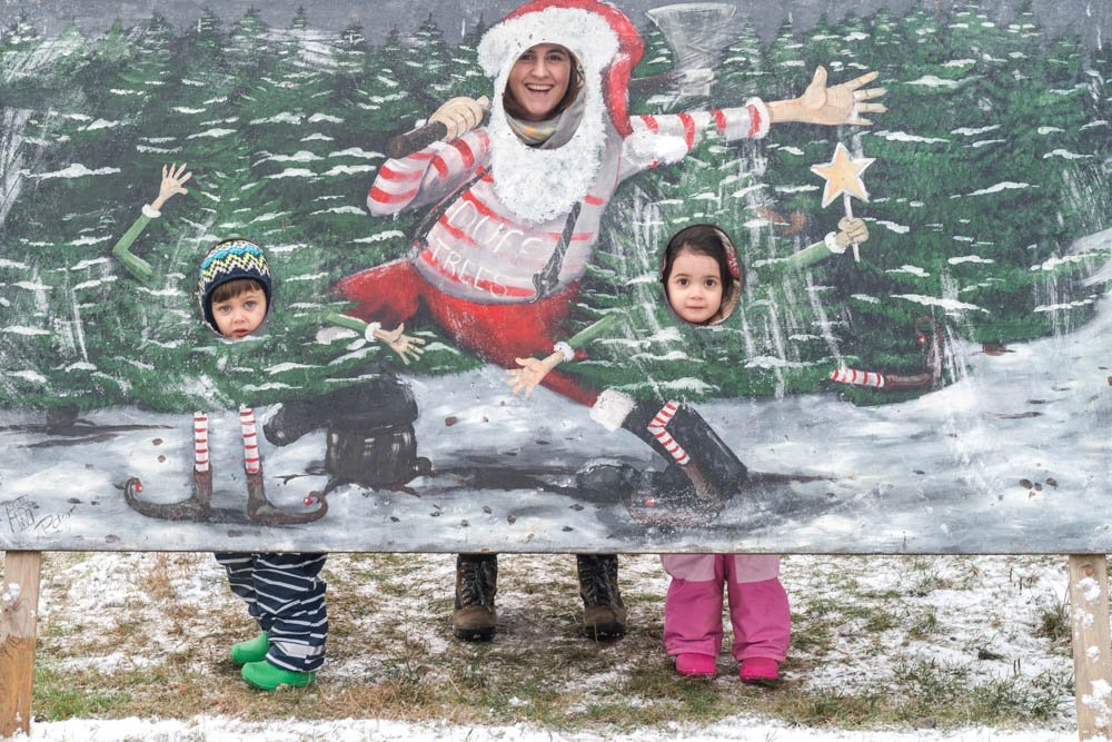 Cut your own Christmas Tree — Duff Christmas Tree Farm