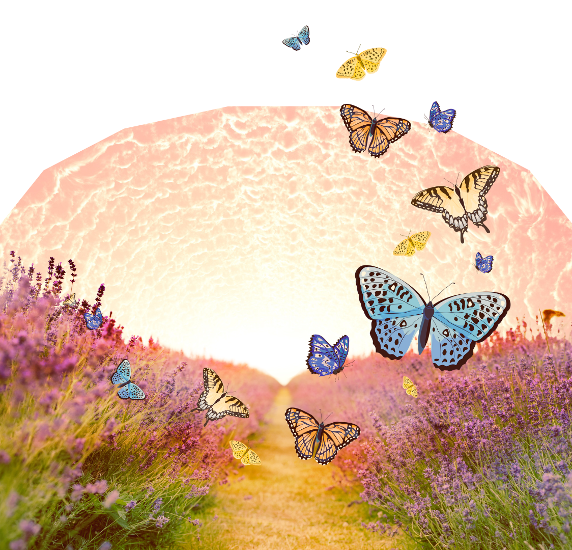 Akashic Record Readings & Guidance Sessions — Stephanie Elizabeth ...