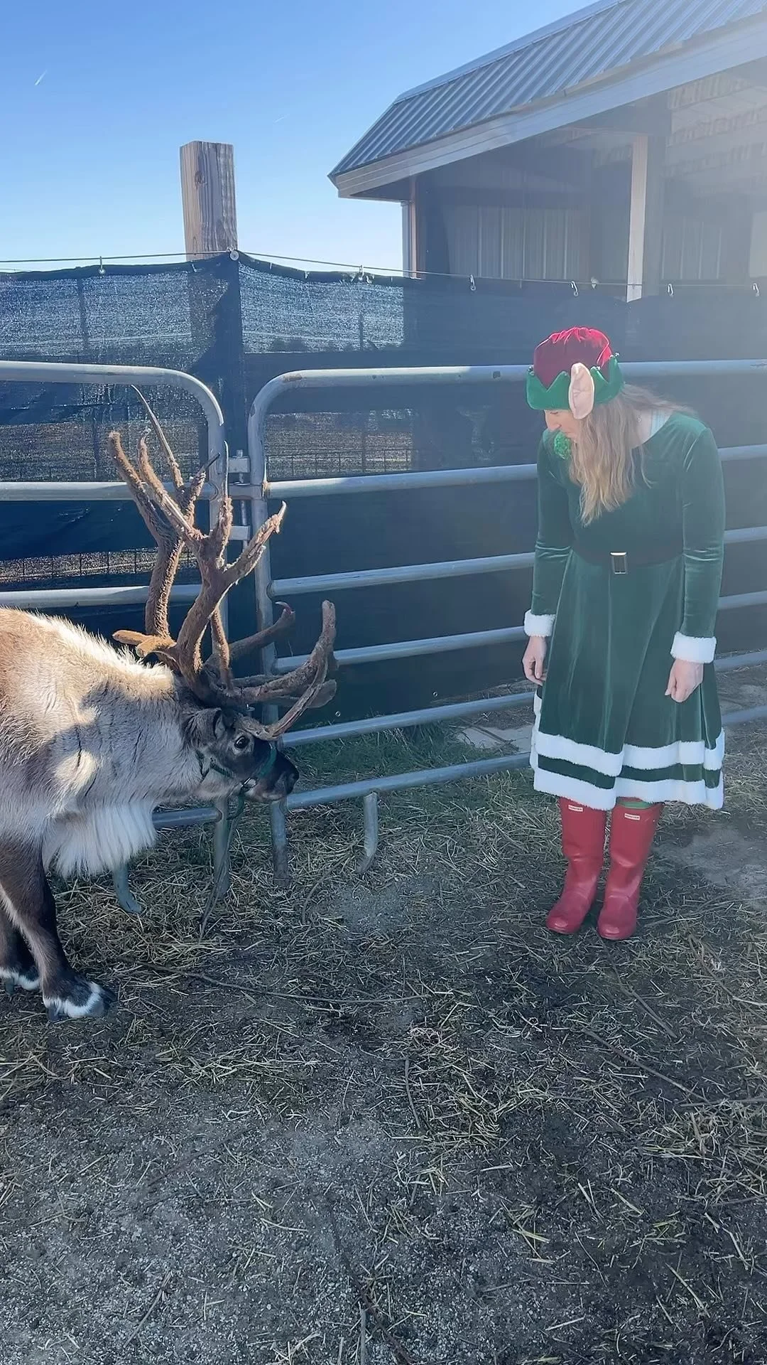 Photos — Whispering Pines Reindeer Ranch & Tree Farm