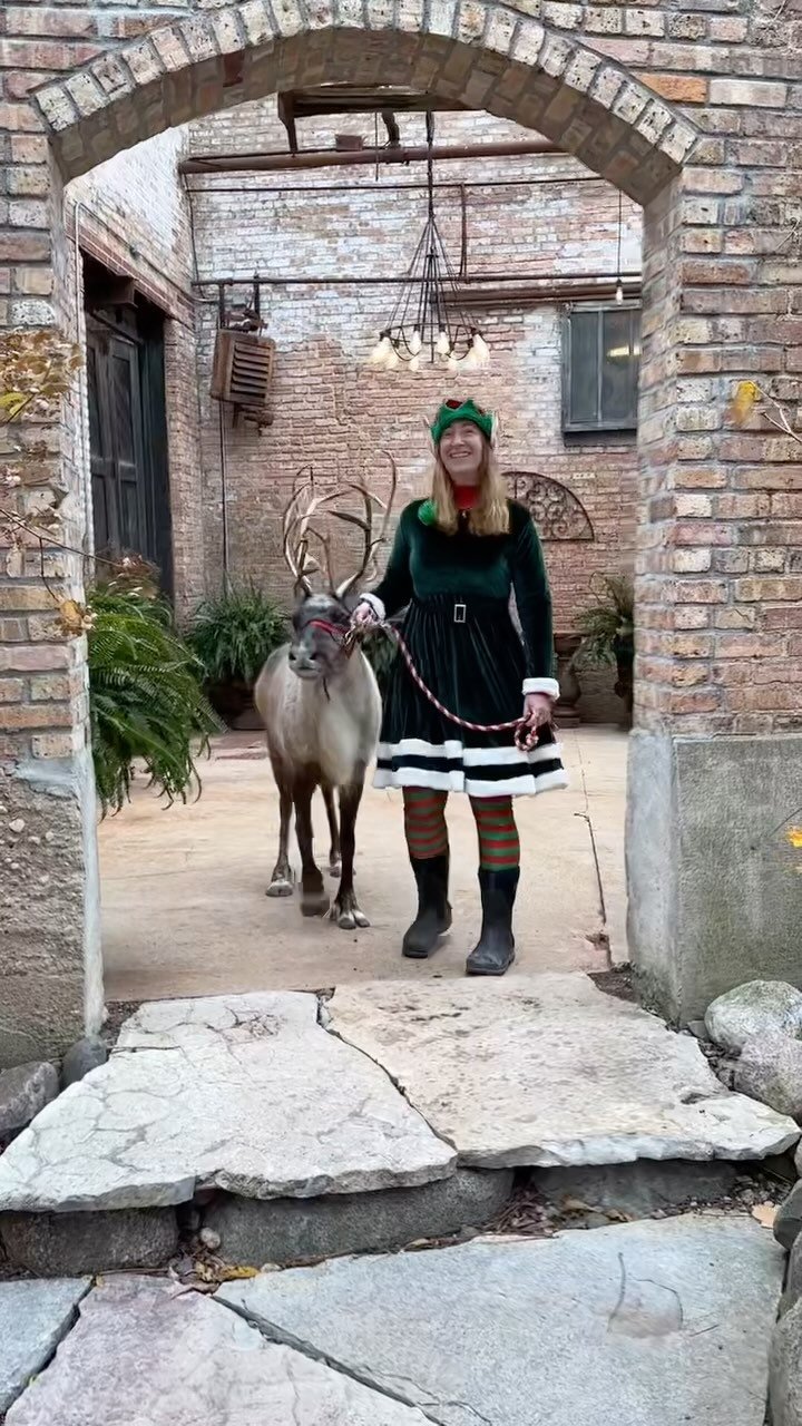 Photos — Whispering Pines Reindeer Ranch & Tree Farm