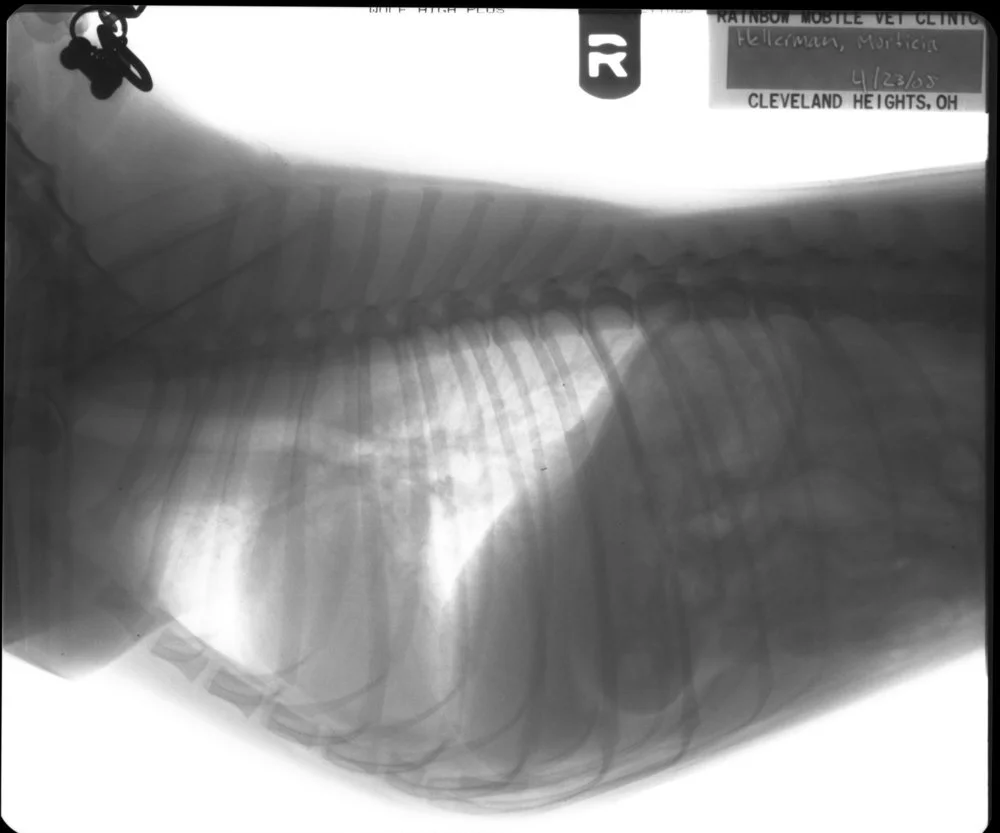 About — DJ Hellerman