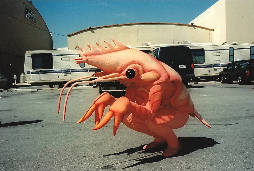 Muppets Tonight! — Matt Brooks Puppetry