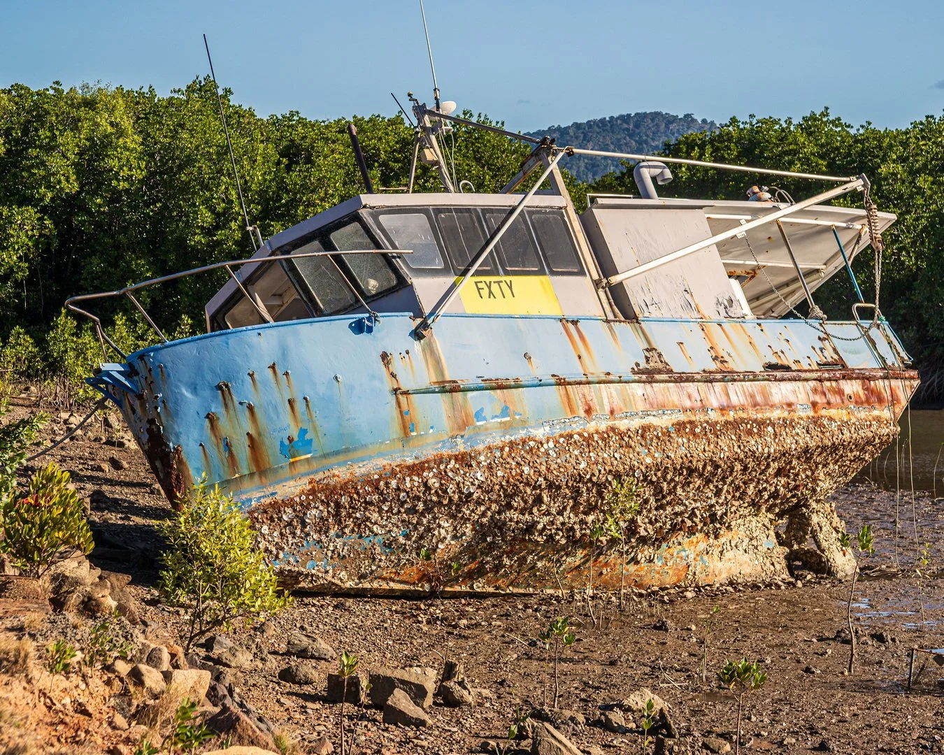 Queensland Camera Group