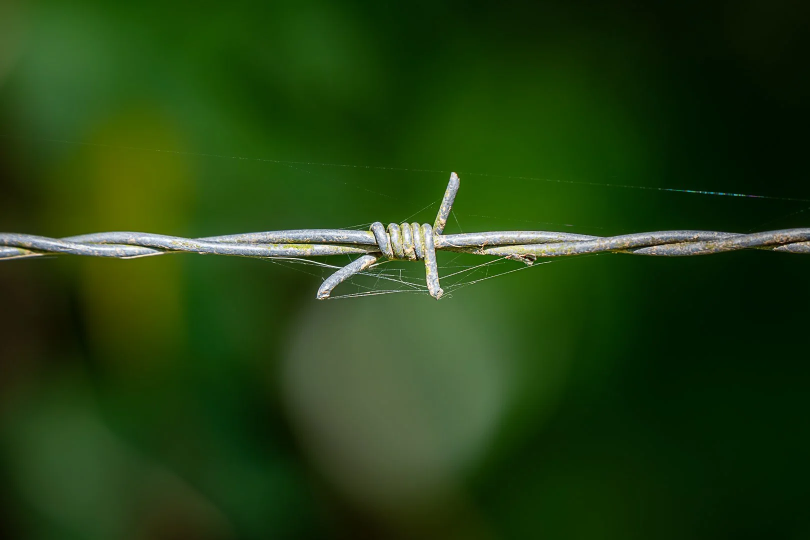 Queensland Camera Group