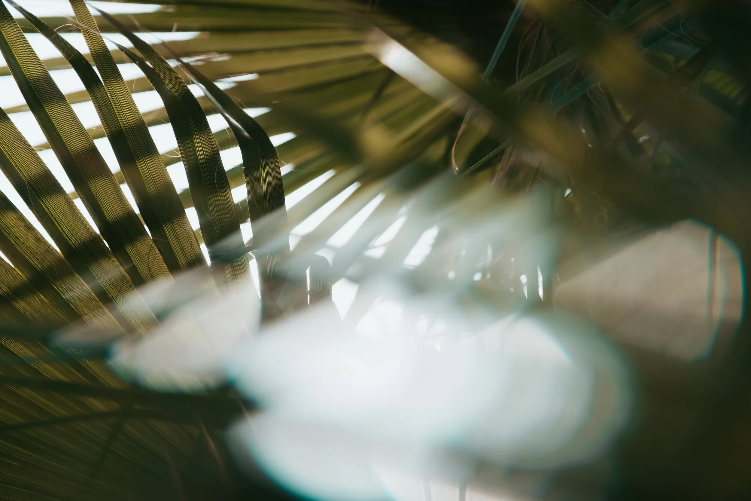 SPLIT DIOPTER FX FILTER — Prism Lens FX