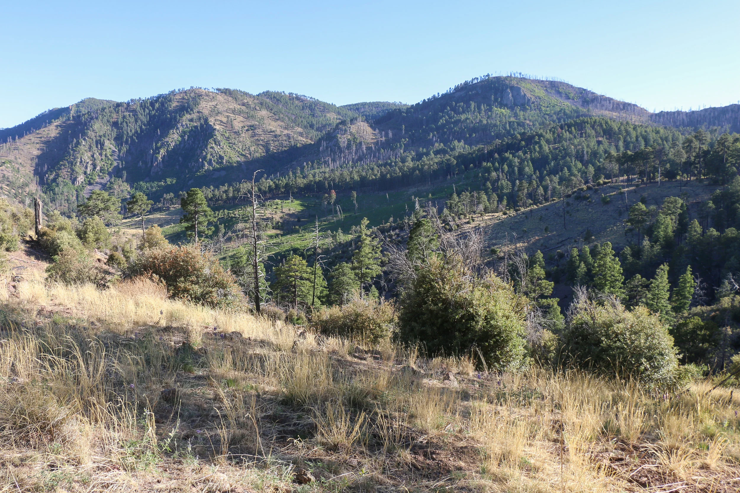 Southeastern AZ Trails — AZOFFROAD.NET