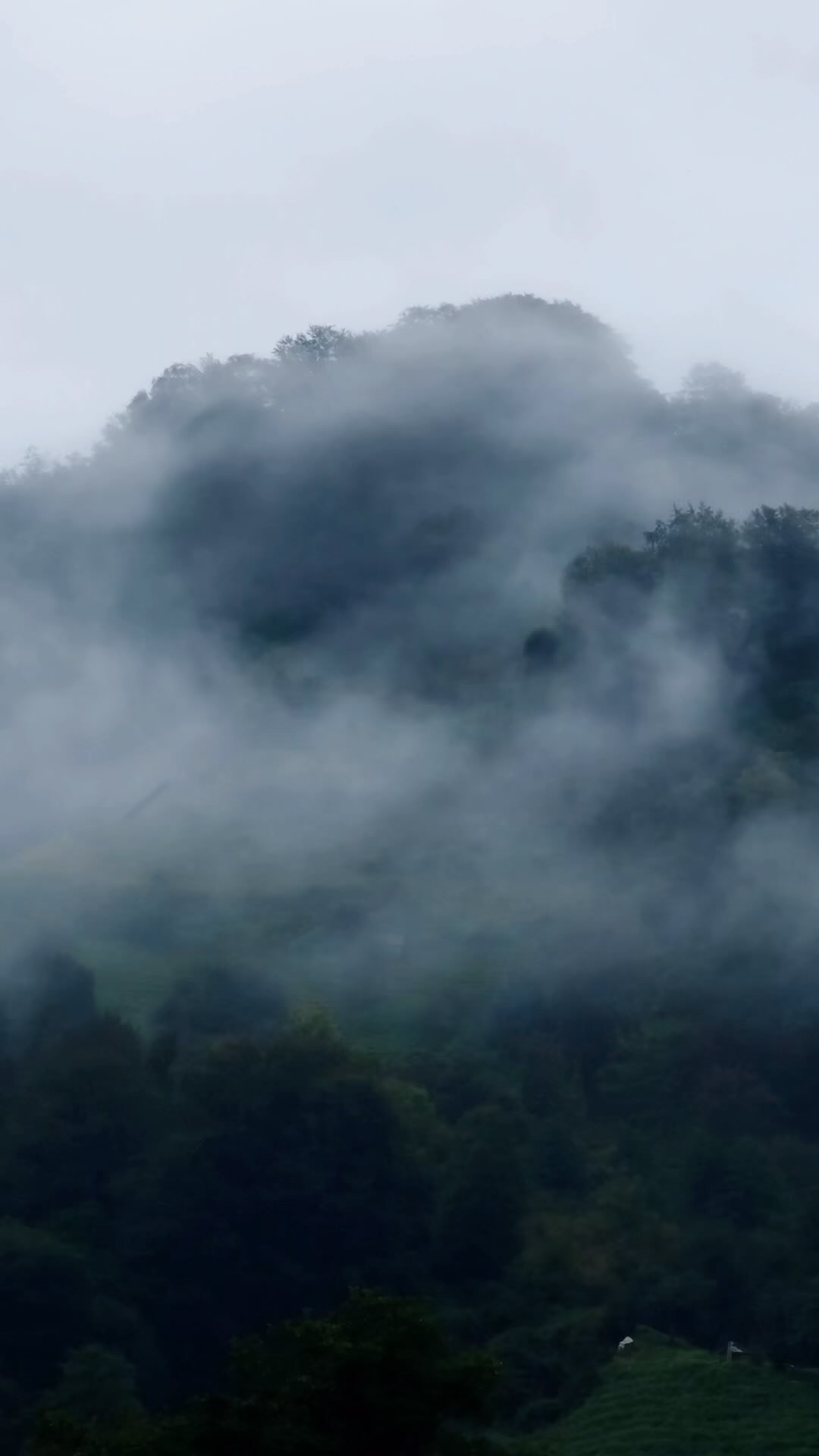 scheduling — Christine Hiester