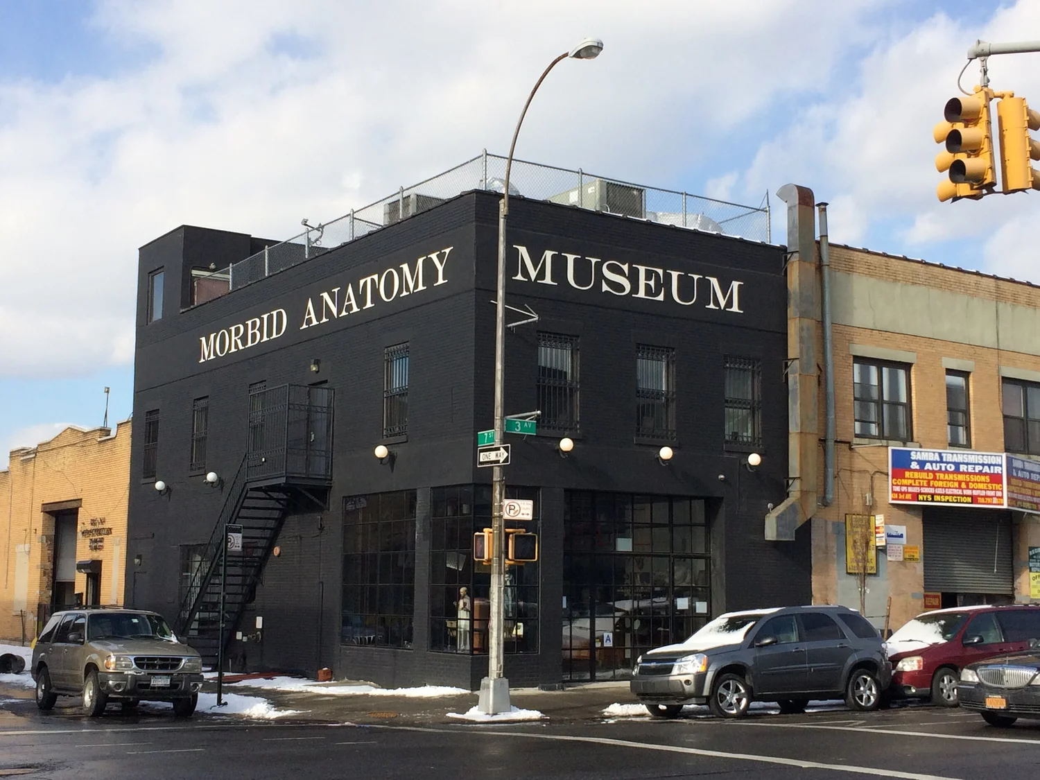 Museum — Morbid Anatomy