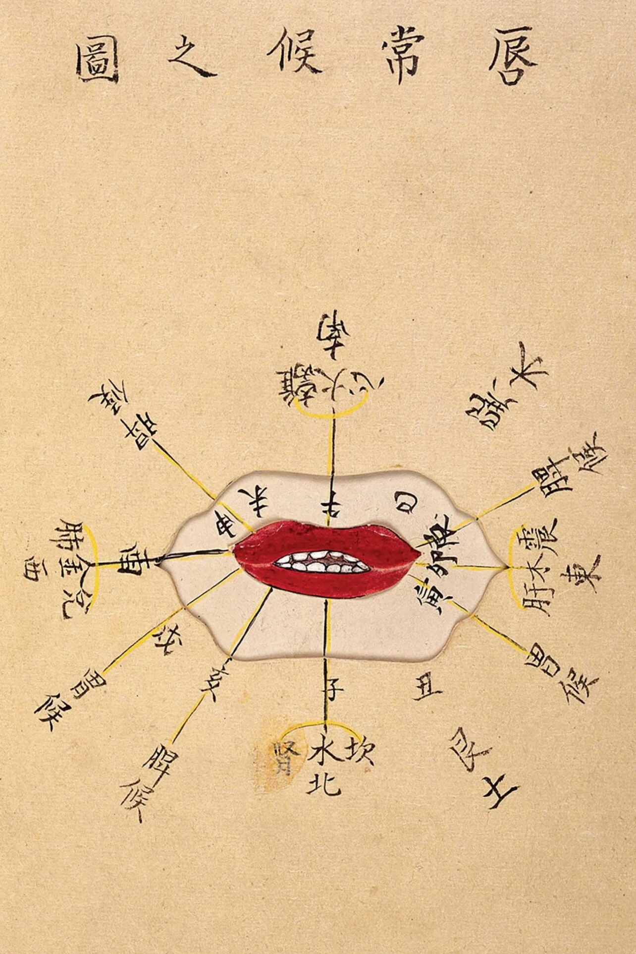 Tarot, Zines and Prints — Morbid Anatomy