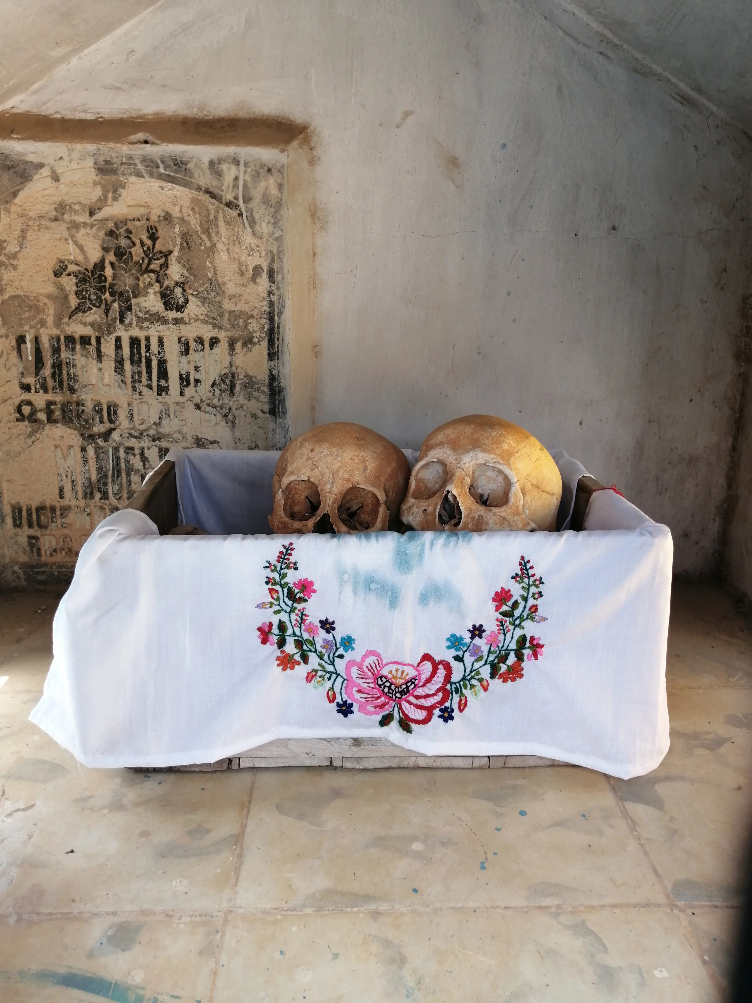 Events — Morbid Anatomy