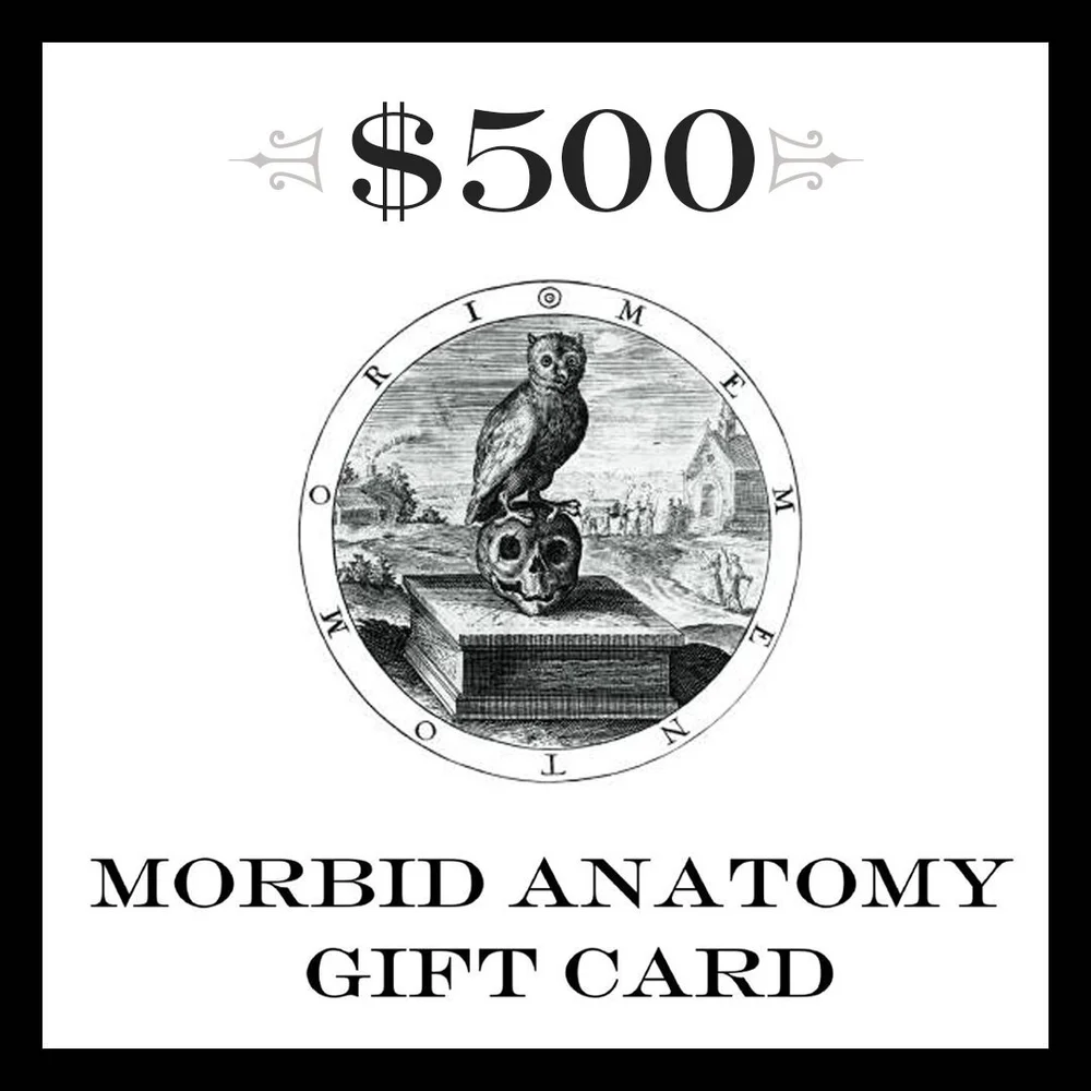 Tarot, Zines and Prints — Morbid Anatomy