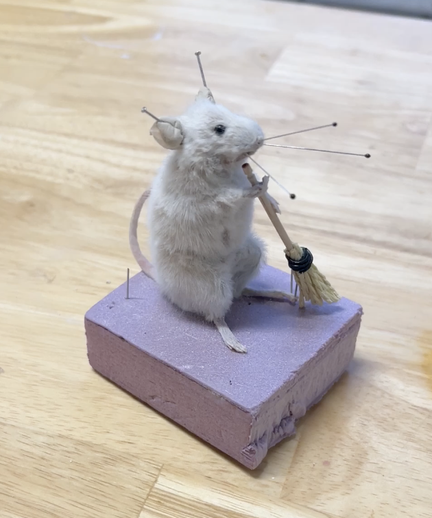 SOLD OUT; SEE NEW DATE BELOW In-Person Mouse Taxidermy Class with ...