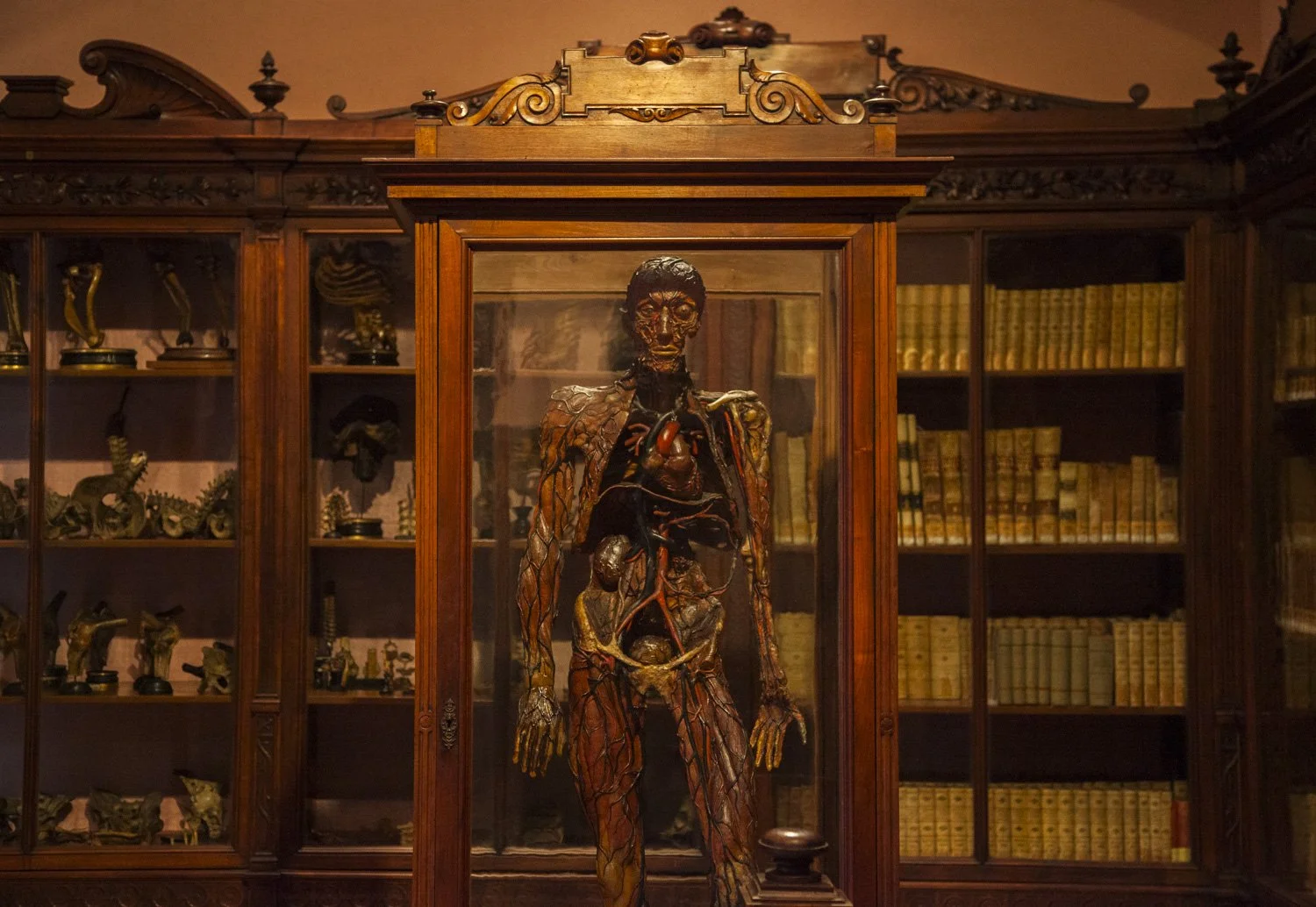 Upcoming Event at Morbid Anatomy — Morbid Anatomy