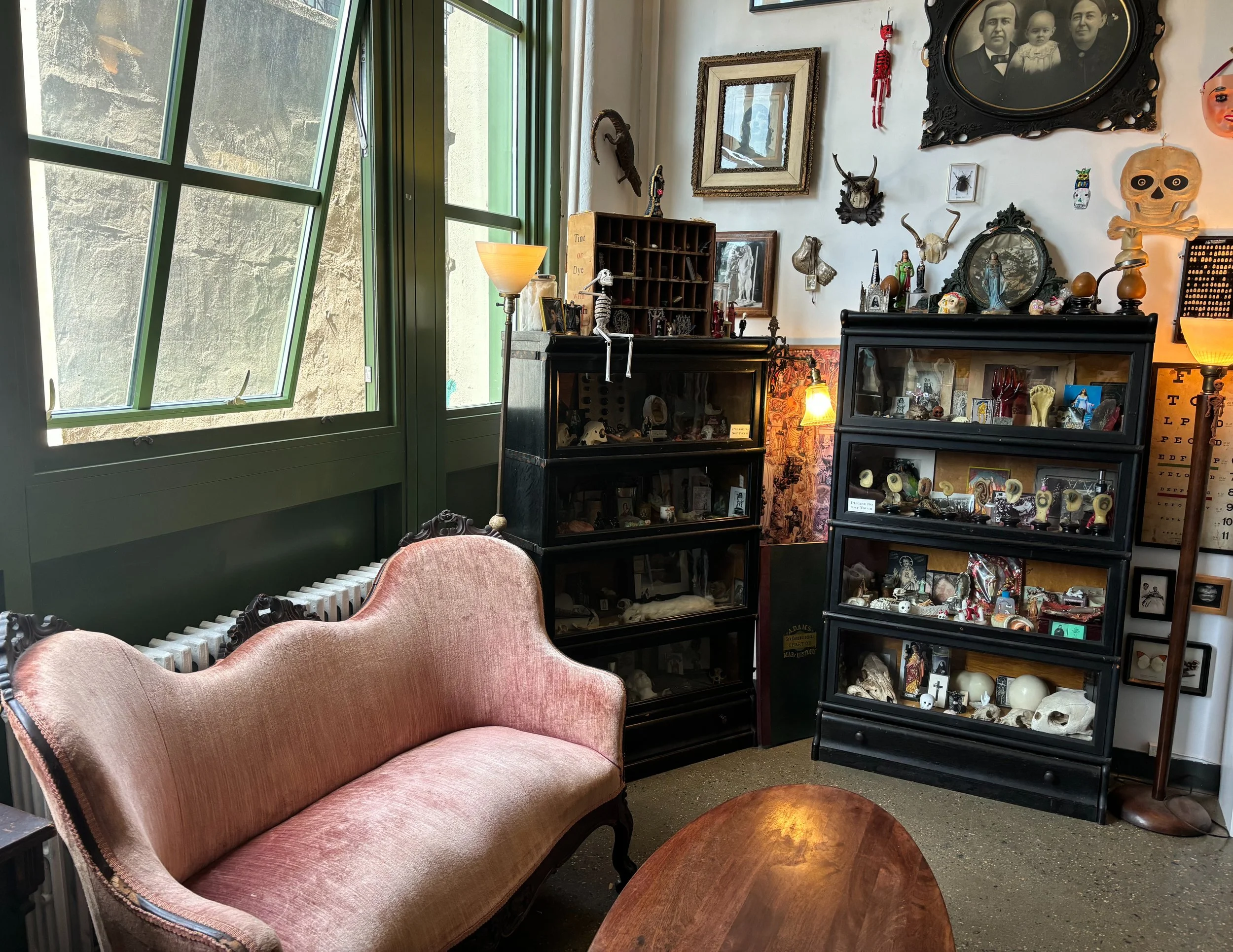 Upcoming Event at Morbid Anatomy — Morbid Anatomy