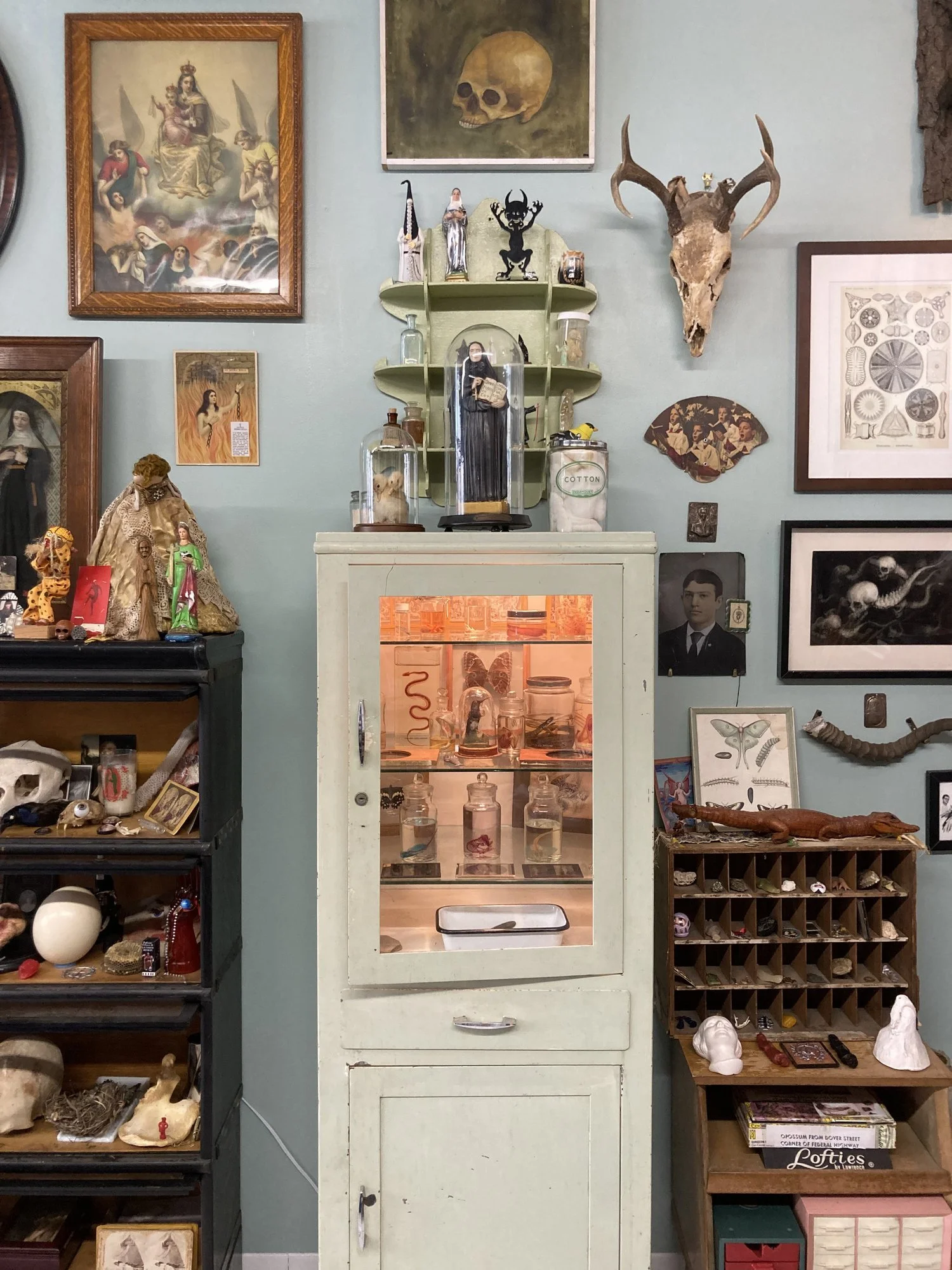 Full list of upcoming classes at Morbid Anatomy. Most are online and ...