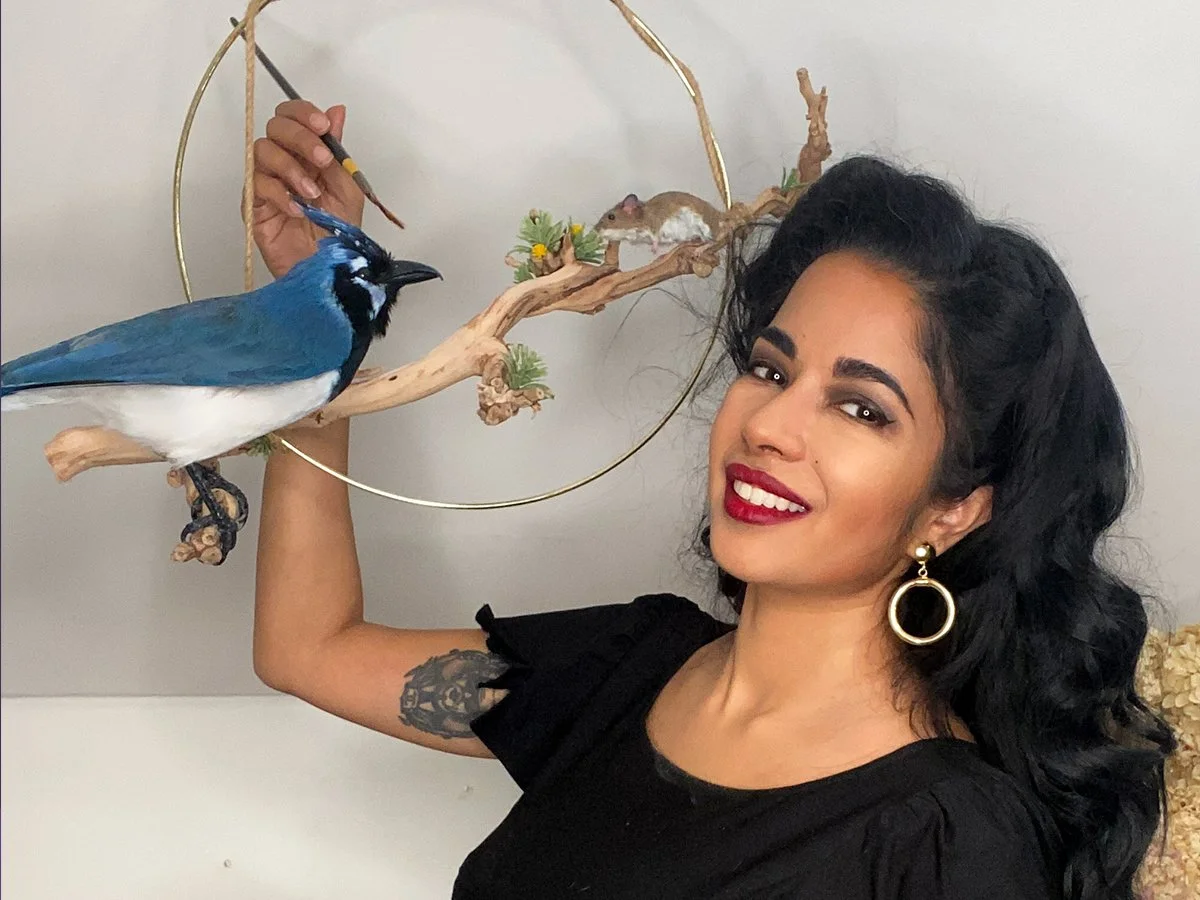 Upcoming Event at Morbid Anatomy — Morbid Anatomy