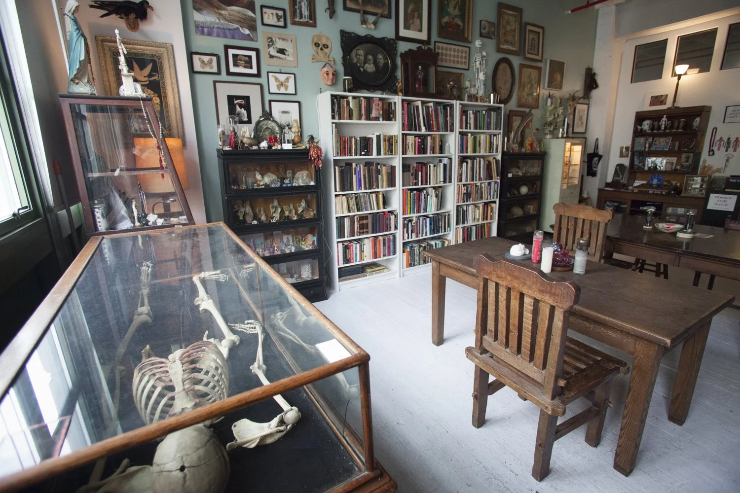 The Morbid Anatomy Library houses hundreds of books and artifacts well ...