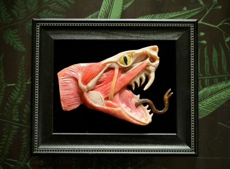 The Morbid Anatomy Online Fine Arts Gallery features artworks made ...