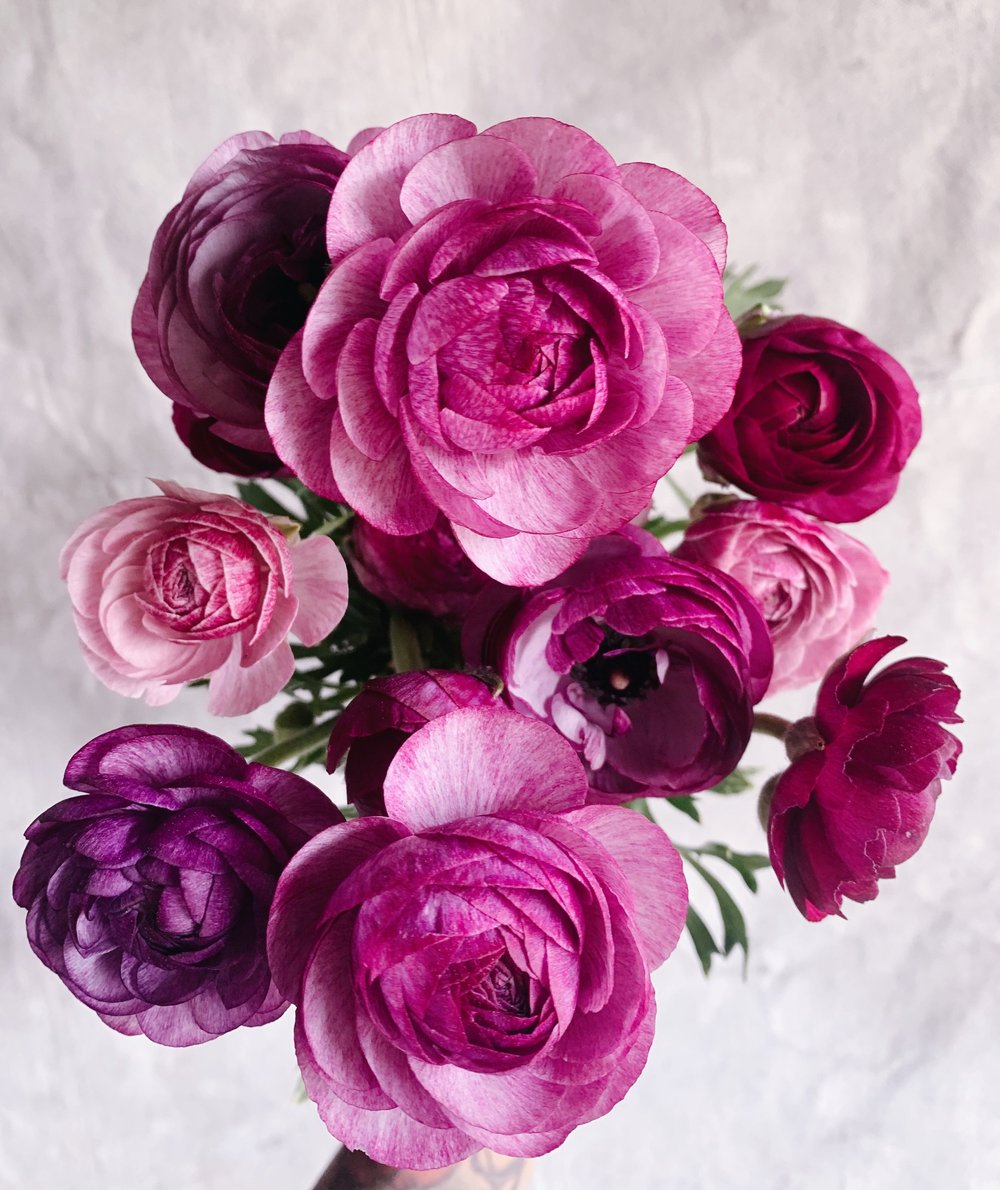 River City Flower Exchange