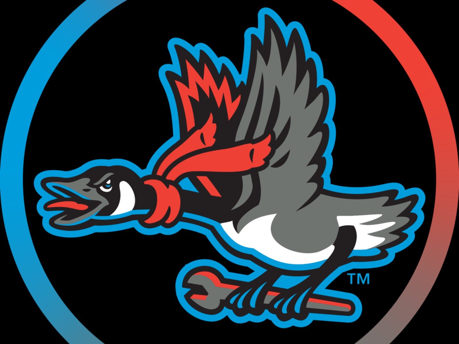 10 MORE Hilarious Minor League Baseball Team Names The Sports Chief 10 MORE Hilarious Minor League Baseball Team Names The Sports Chief