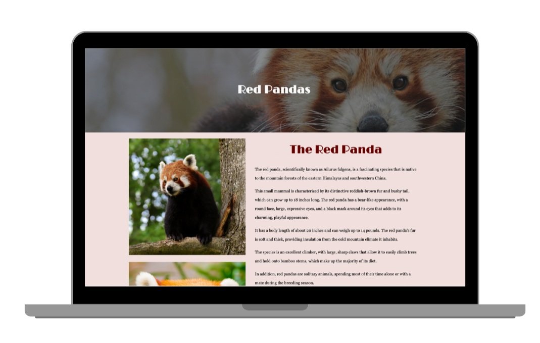 Middle School Text Structure Activity and Project — Teaching Intentionally