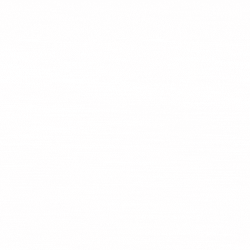 Simple Steps to Teach Central Idea — Teaching Intentionally