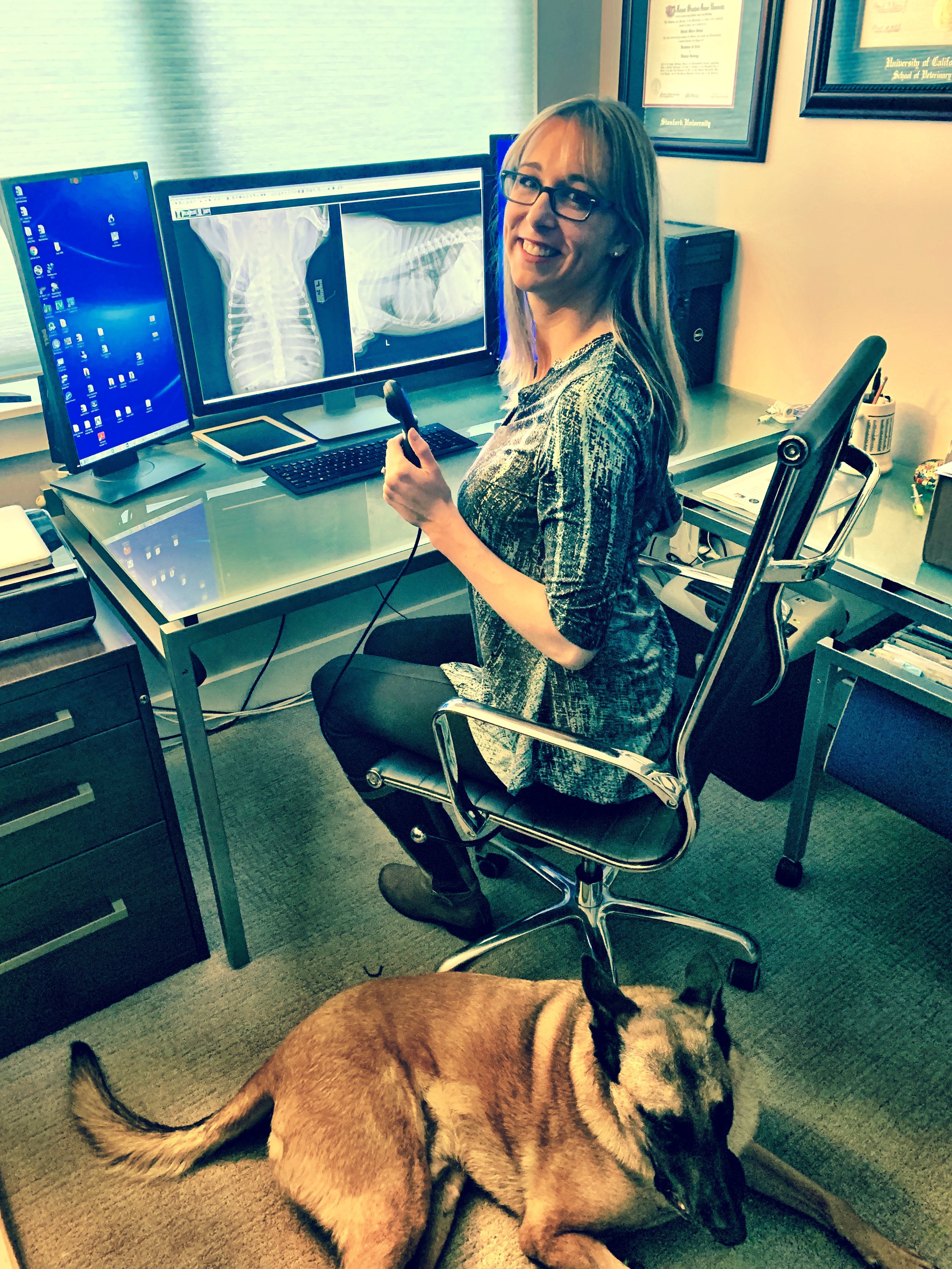 Colorado Veterinary Imaging, LLC