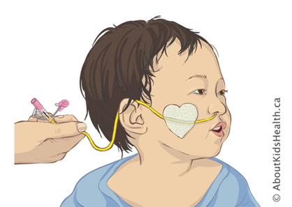 HINT: How to promote comfort and safety when administering ...