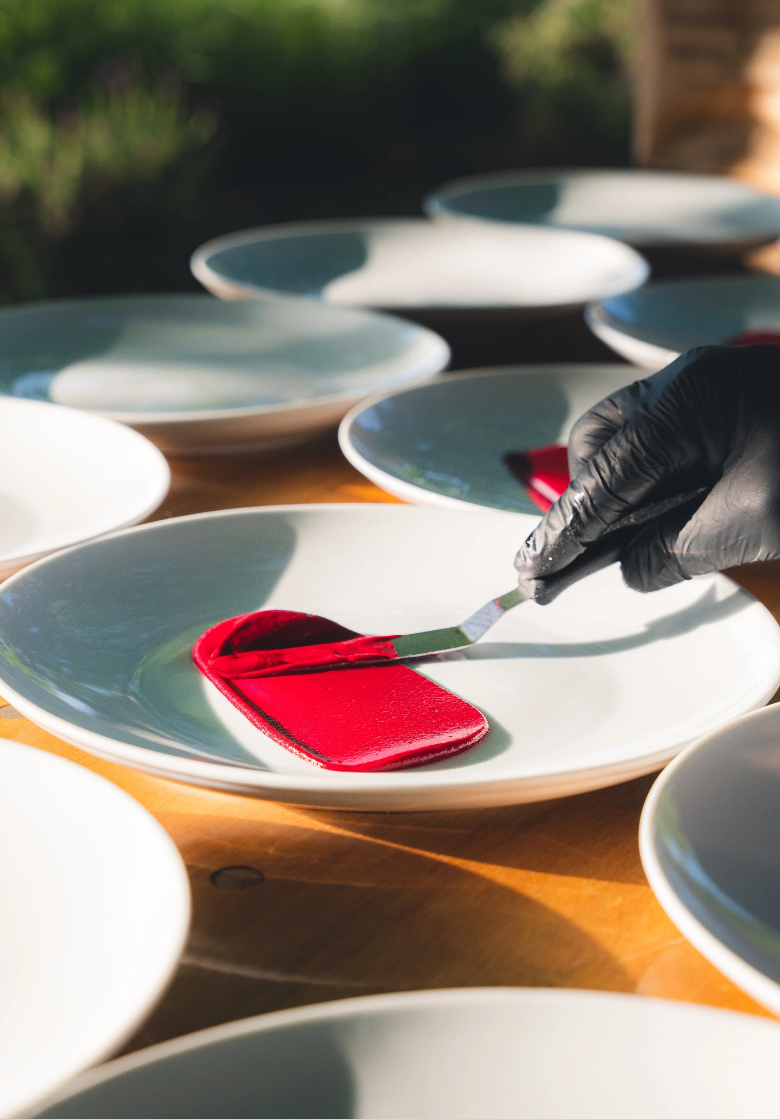 Goodness Gracious Private Chef and Catering- Sonoma Chef