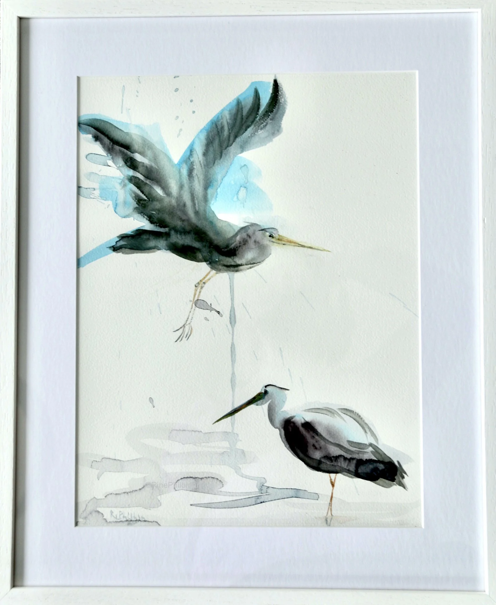 Birds — Rine Philbin Art original Irish art
