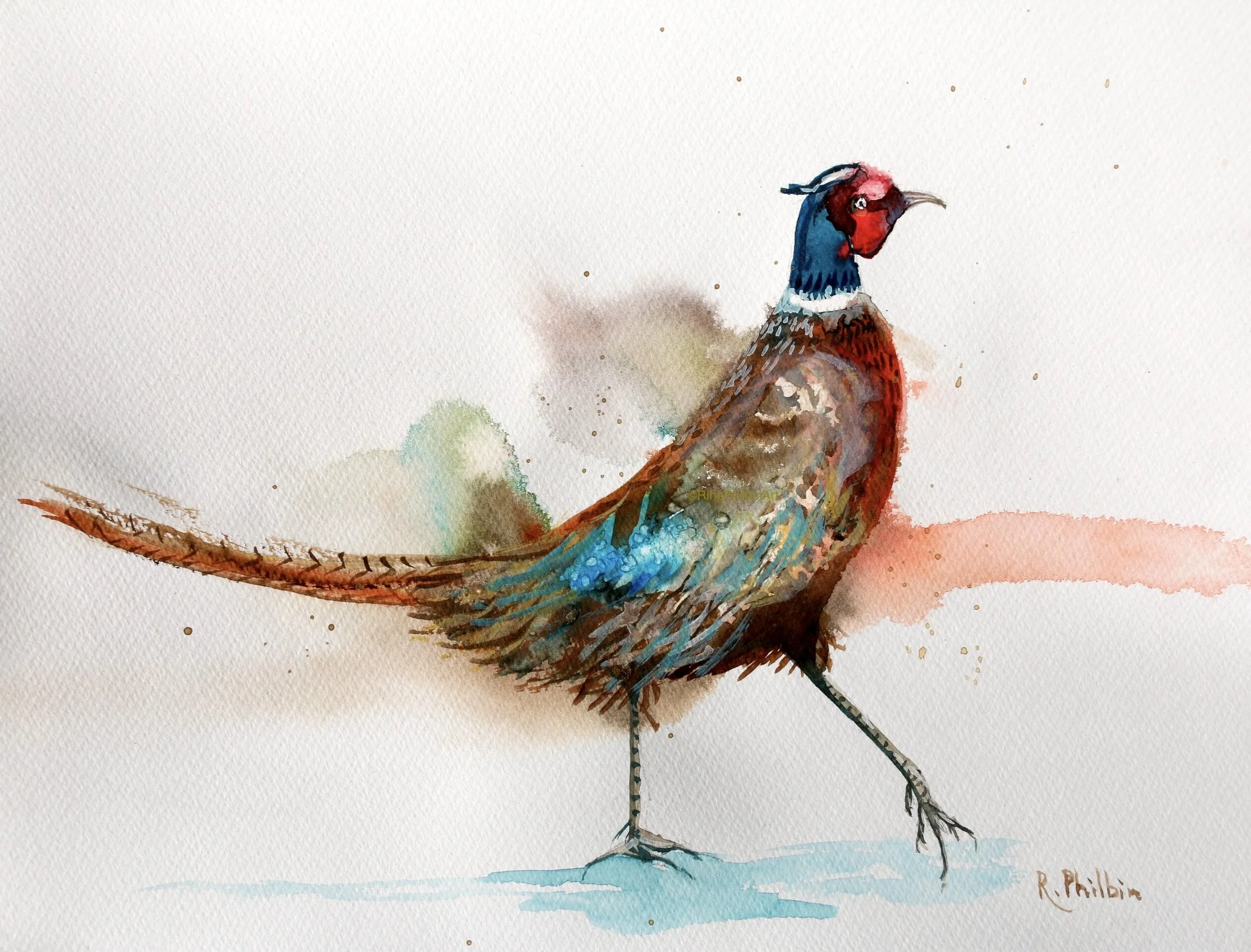 Birds — Rine Philbin Art original Irish art