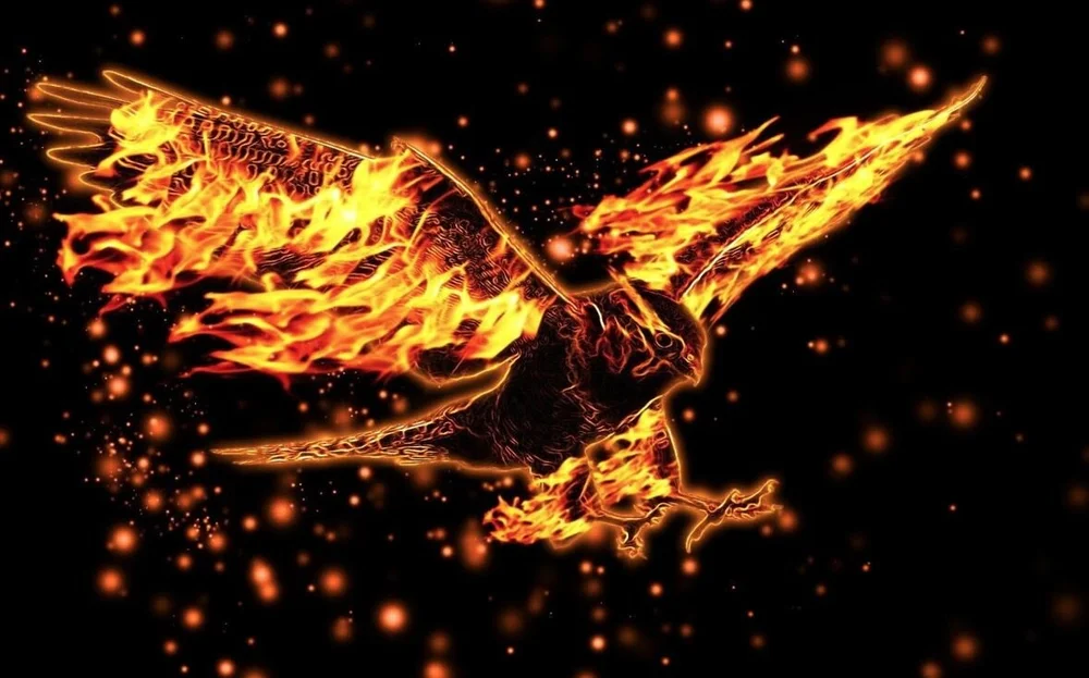 Firebird Animal Wallpaper