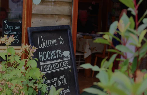 Hockey's Farm | Discover Local Delights – Visit Today