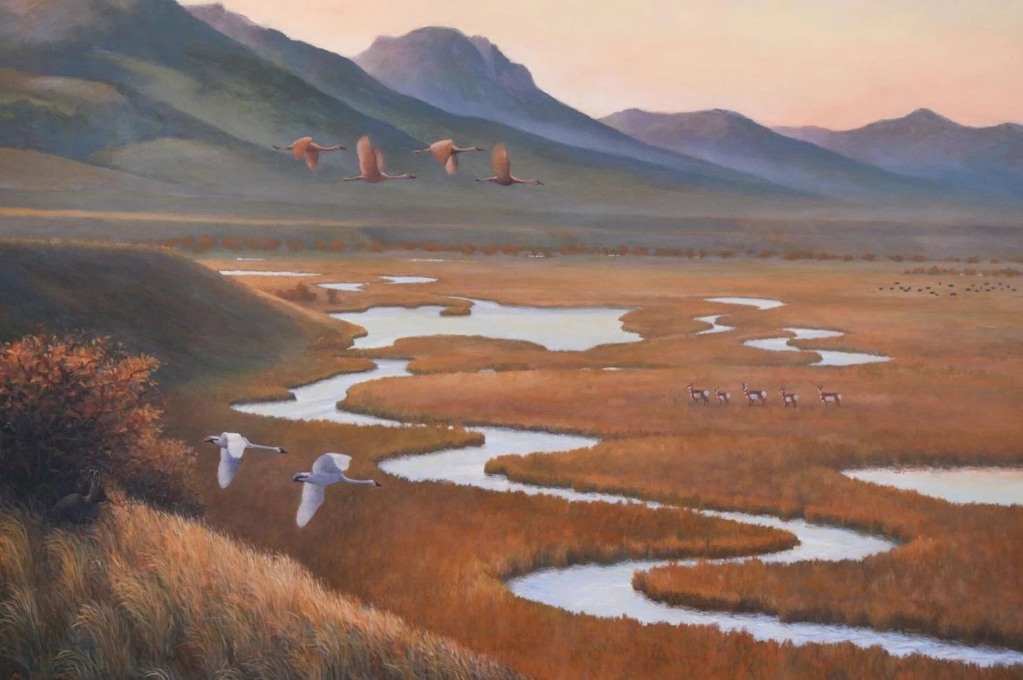 O'Dell Creek Restoration — Madison River Foundation