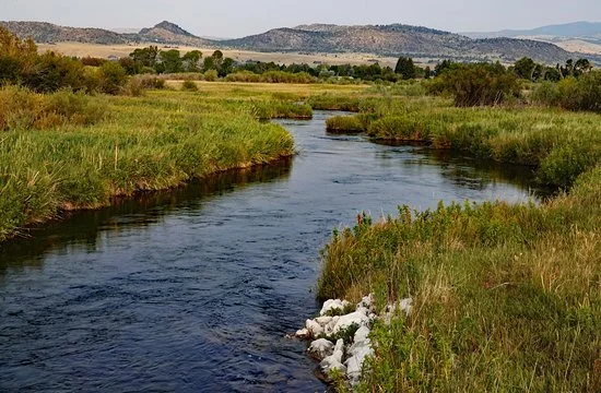O'Dell Creek Restoration Project — Madison River Foundation