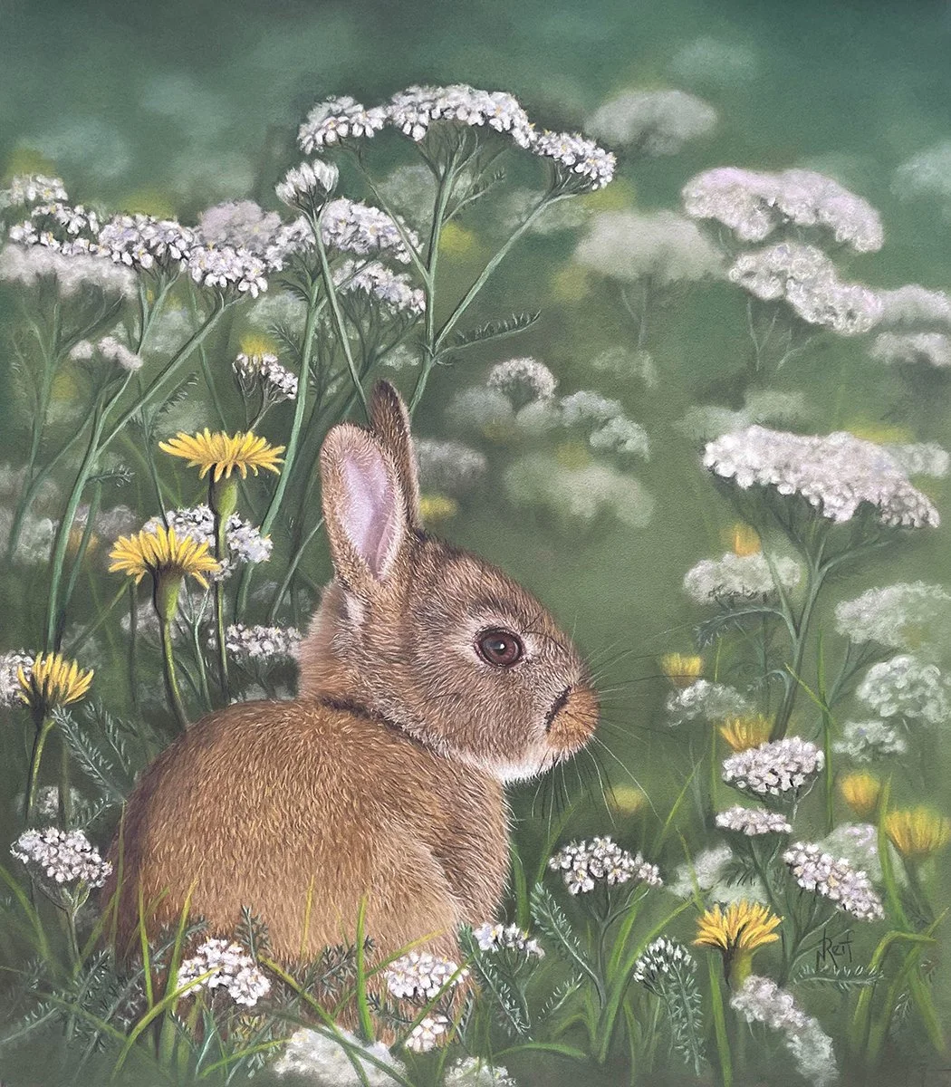 Wildlife Art — Nicola Reif Pastel Artist