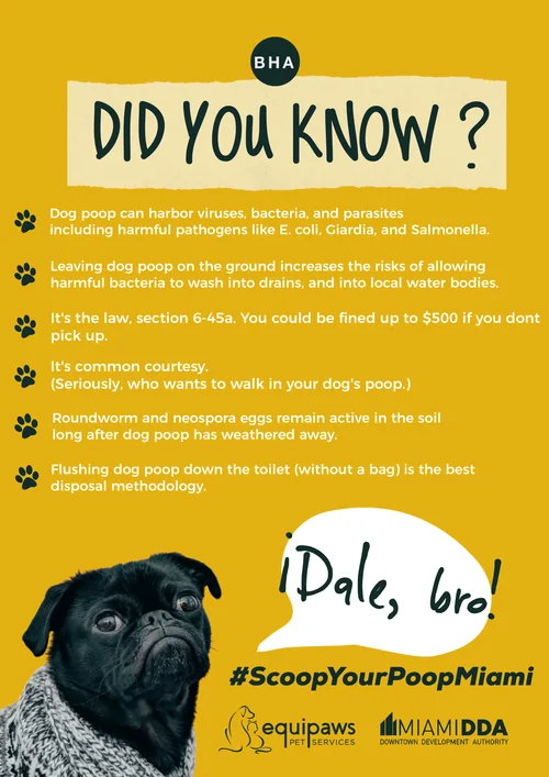 Scoop Your Poop Miami — Brickell Homeowners Association, Inc.