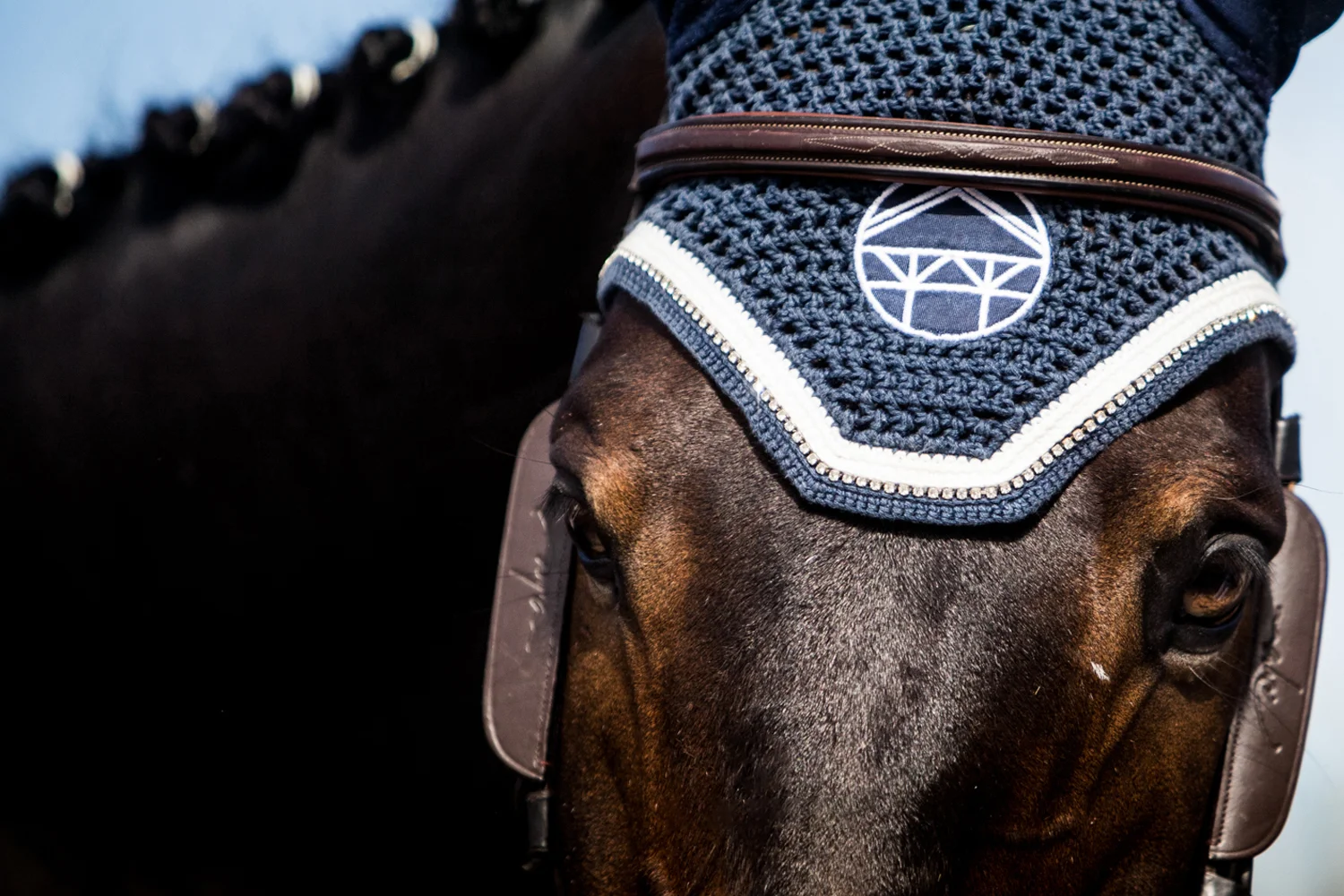 Our Team Index — Evergate Stables