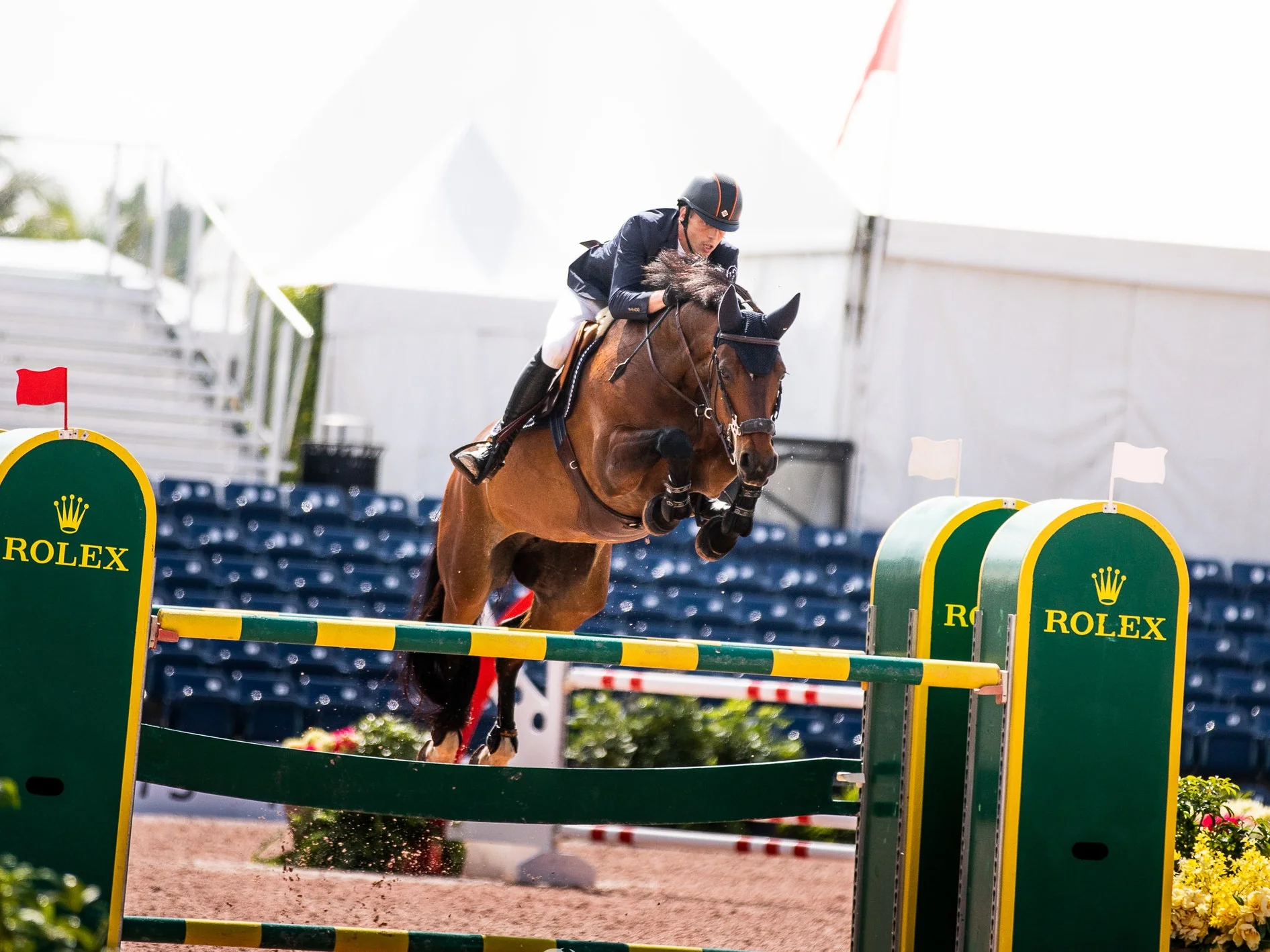 Our Team Index — Evergate Stables