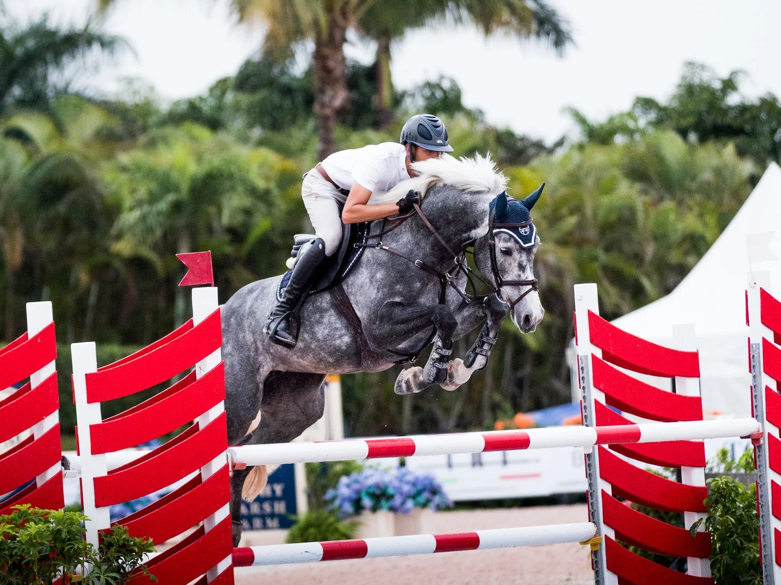 Our Team Index — Evergate Stables