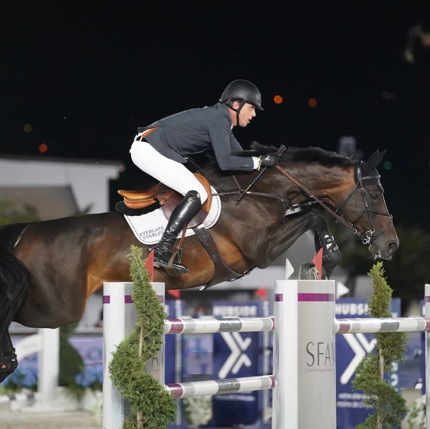 Gallery — Evergate Stables