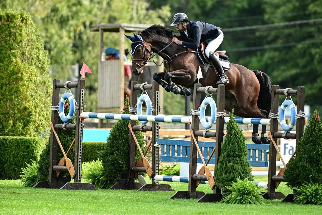 Gallery — Evergate Stables