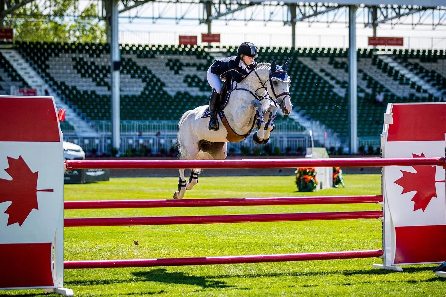 Gallery — Evergate Stables