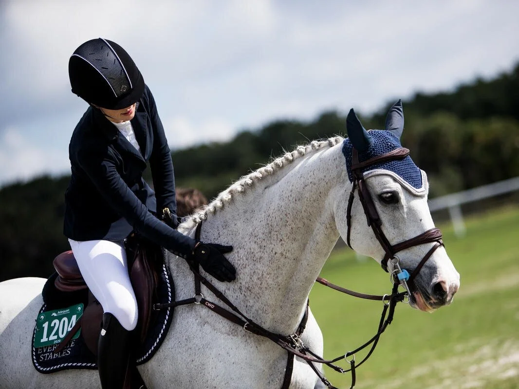 Latest News — Evergate Stables