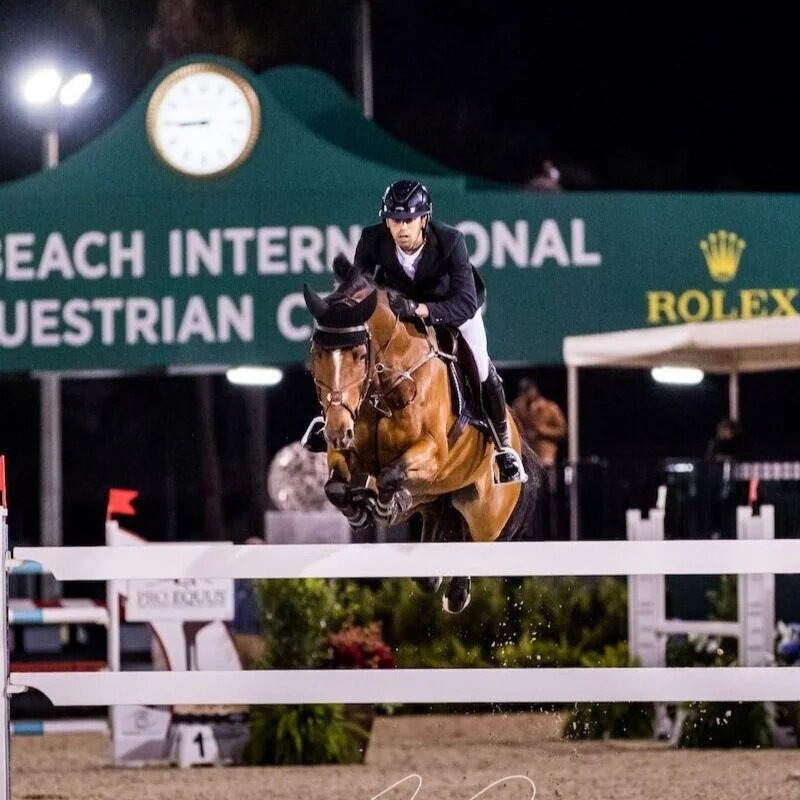 Gallery — Evergate Stables