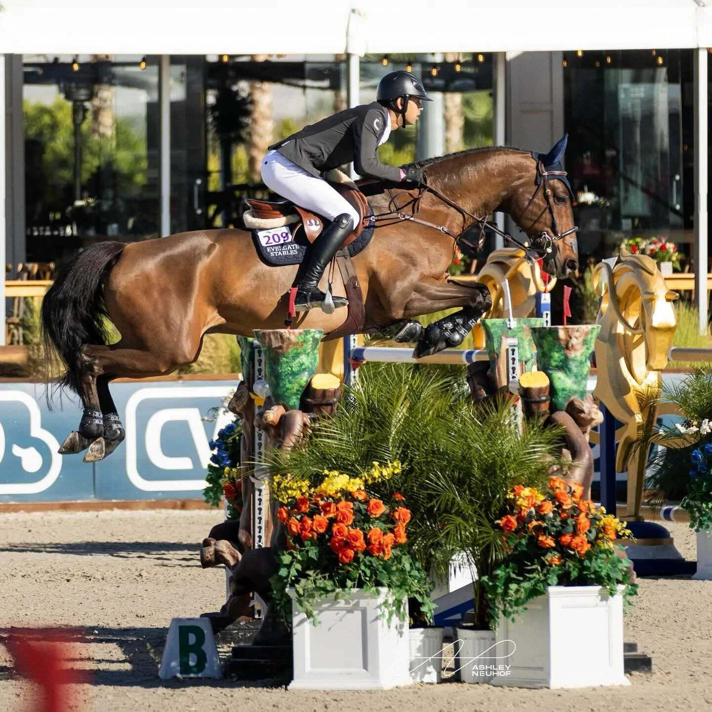 Gallery — Evergate Stables