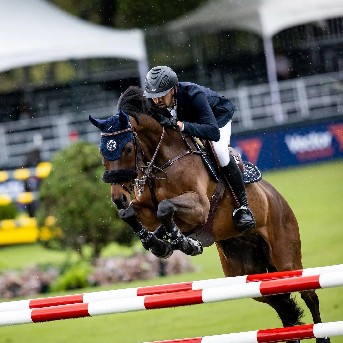 Gallery — Evergate Stables