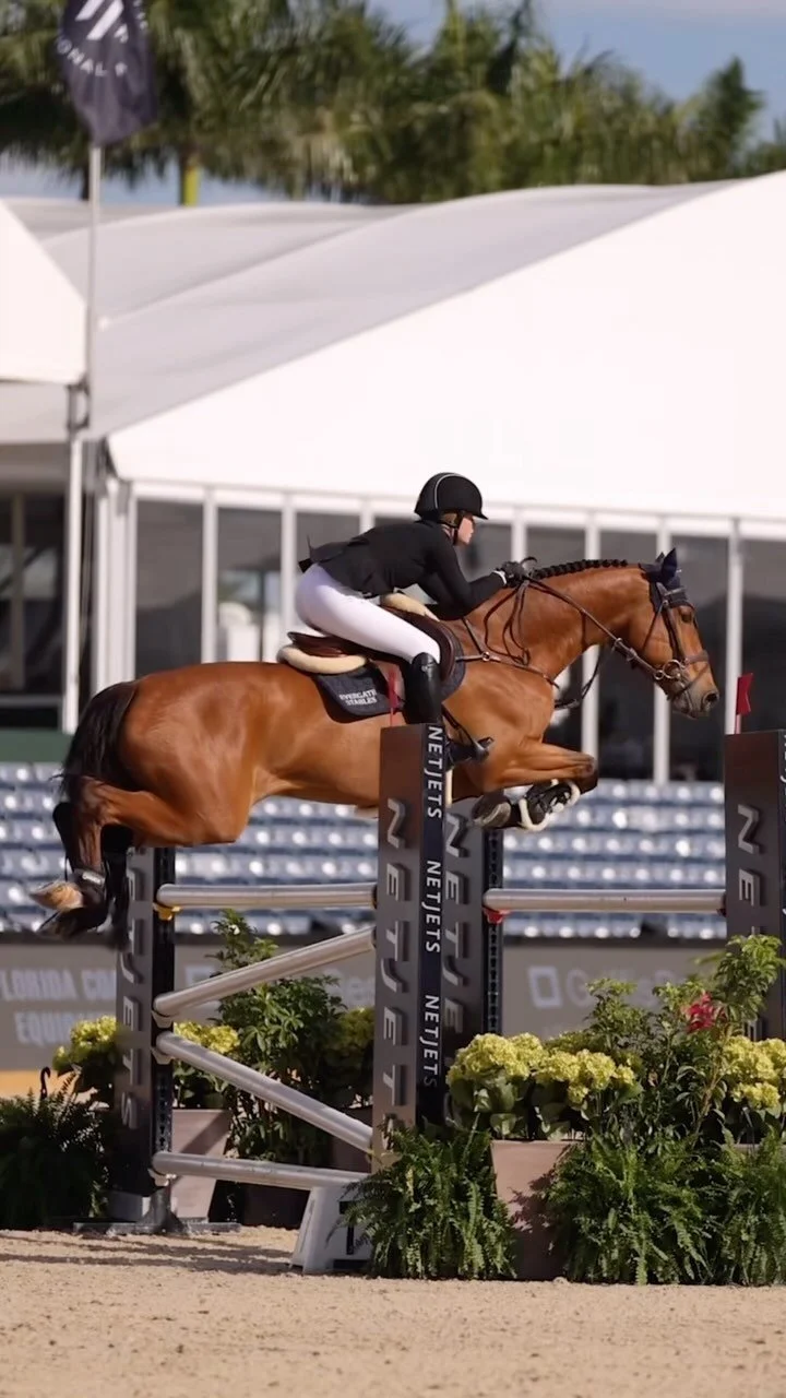 Gallery — Evergate Stables