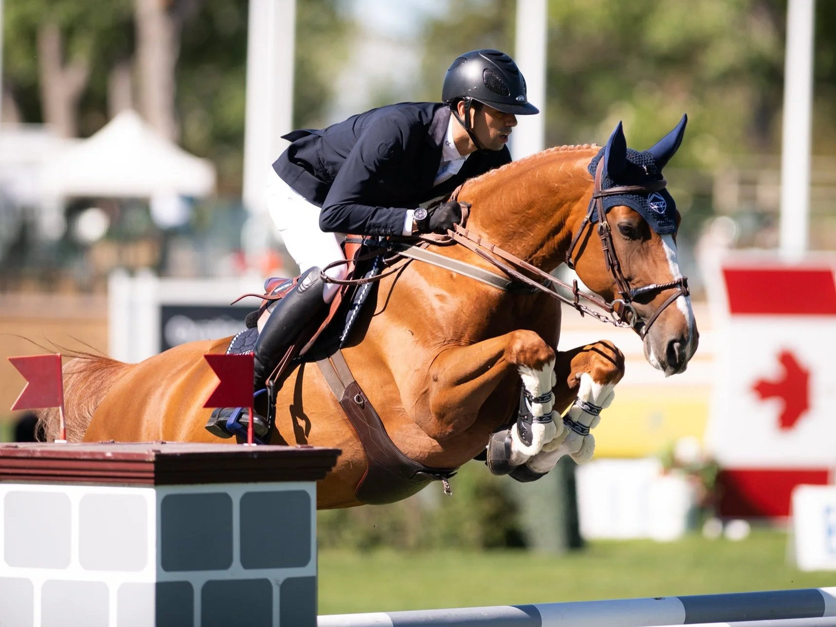 Our Team Index — Evergate Stables